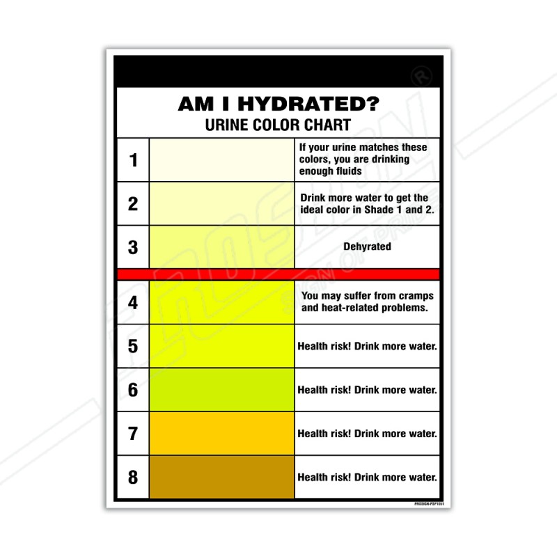 Am I Hydrated Safety Posters| Protector FireSafety